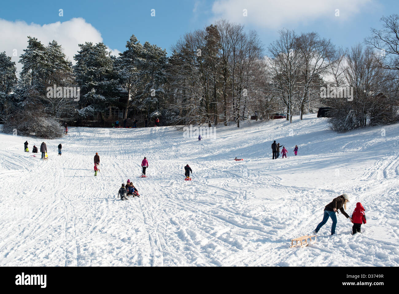 Kids and families having fun with their sledges, bright and white ...