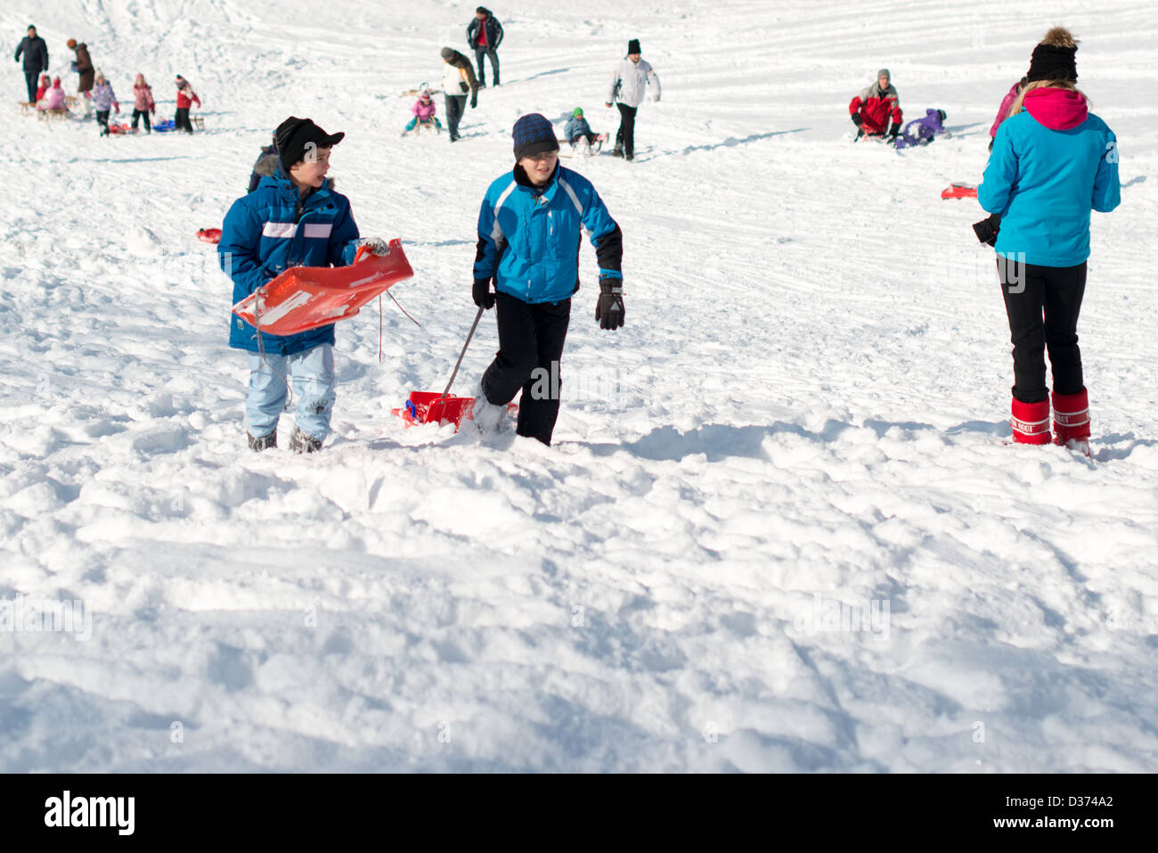 Kids and families having fun with their sledges, bright and white ...