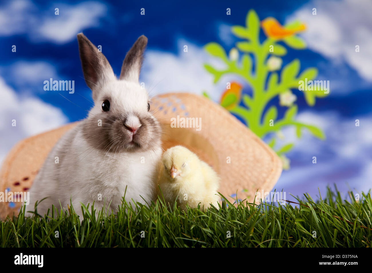 Easter bunny and chick on green background Stock Photo - Alamy