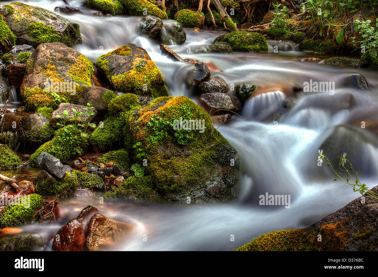 Mossy Creek - Mountain Stream with moss covered rocks Stock Photo - Alamy