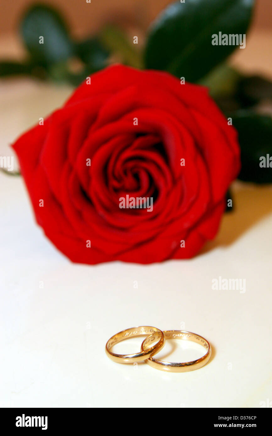 gold wedding rings on a background of red roses Stock Photo - Alamy