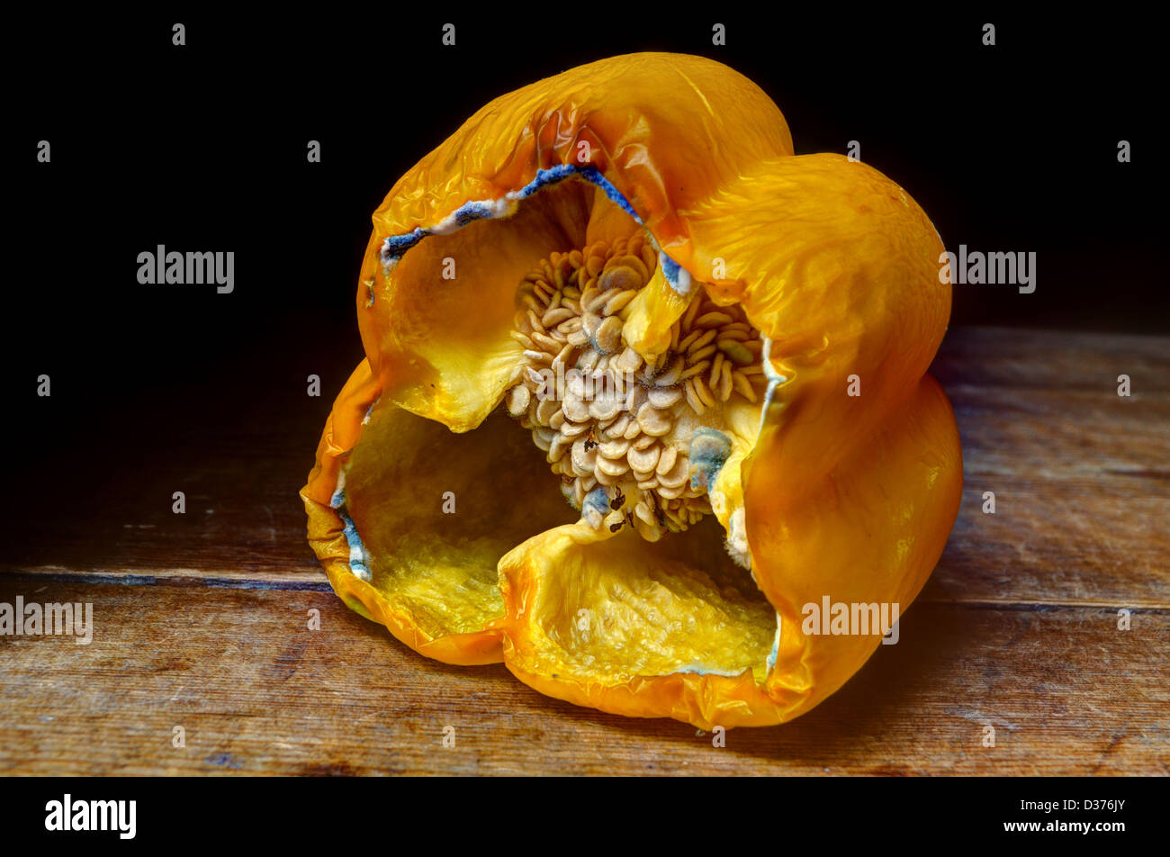 Perishing hi-res stock photography and images - Alamy