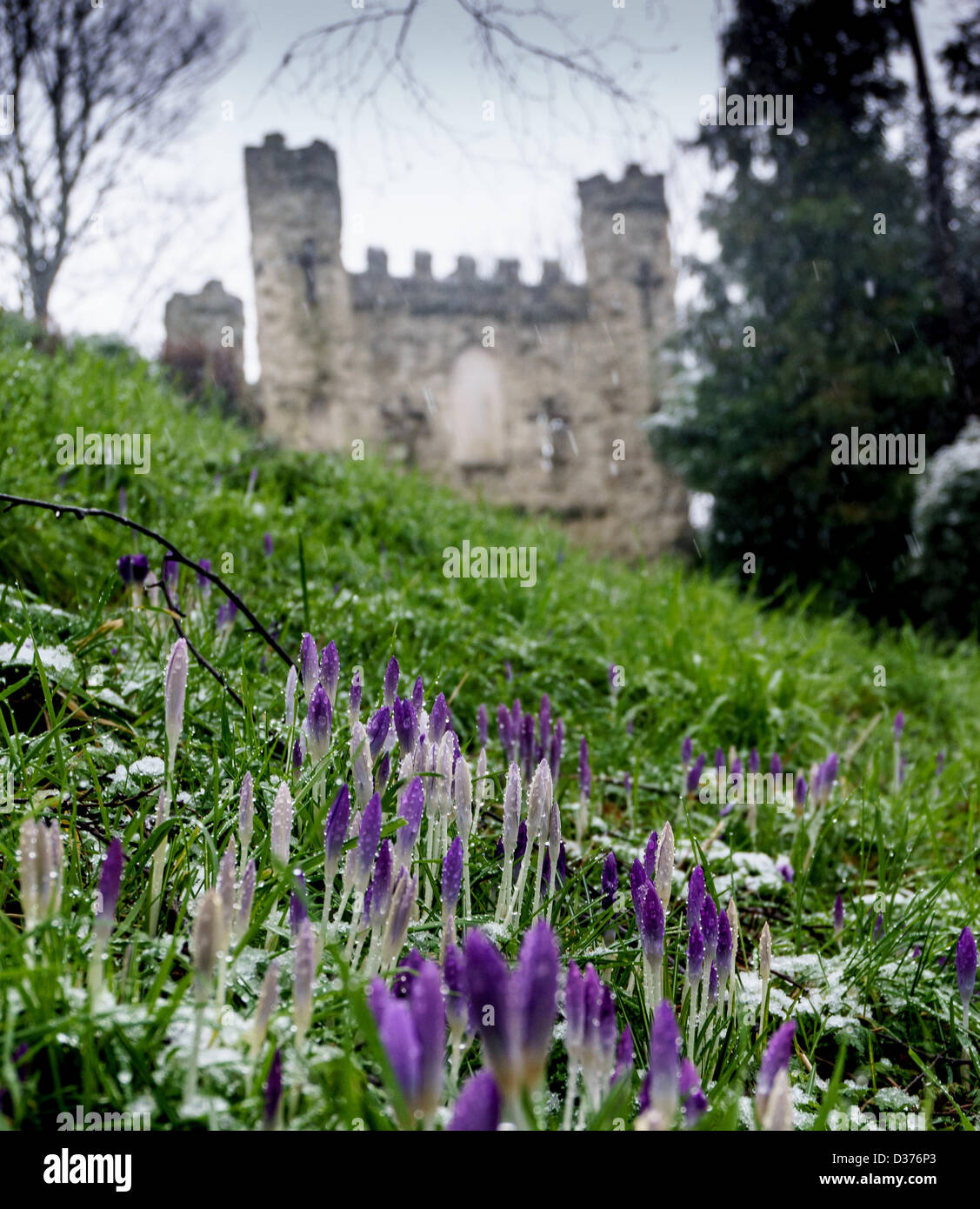 Castle grounds reigate hi-res stock photography and images - Alamy