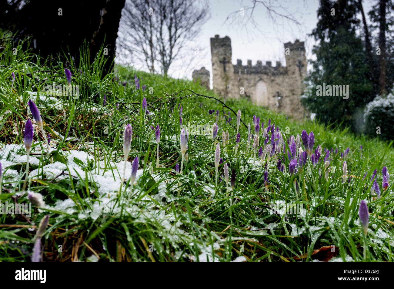 Reigate castle castle grounds surrey hi-res stock photography and ...