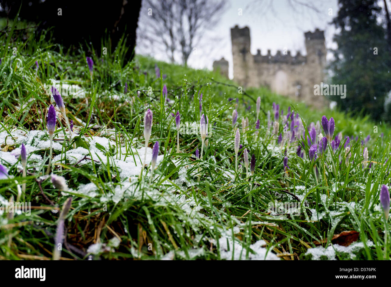 Reigate castle castle grounds surrey hi-res stock photography and ...