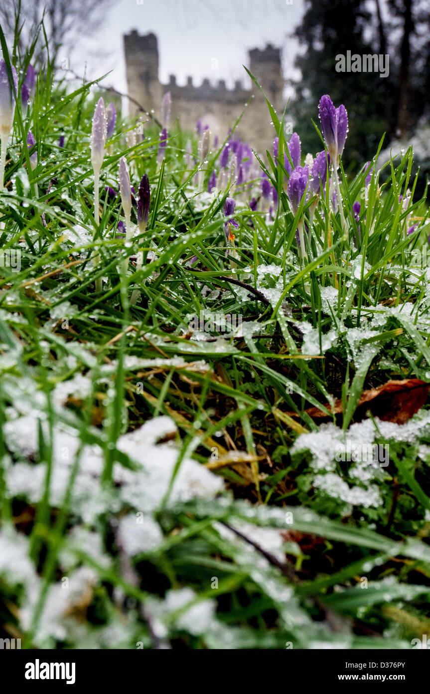 Reigate castle castle grounds surrey hi-res stock photography and ...