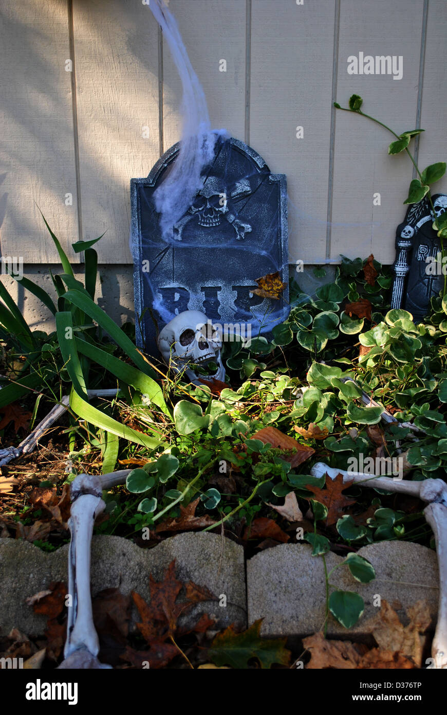 Skull skeleton grave hi-res stock photography and images - Alamy
