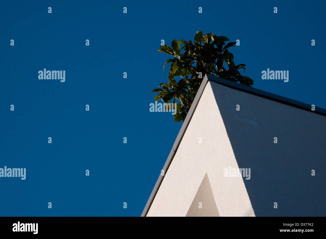 Shade tree modern building hi-res stock photography and images - Alamy