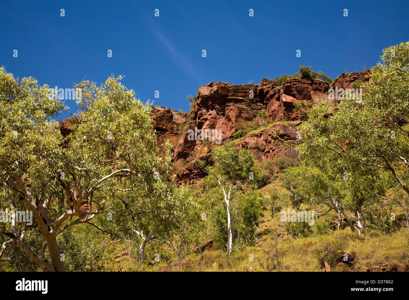 Towering sandstone escarpments border the Victoria River flowing ...