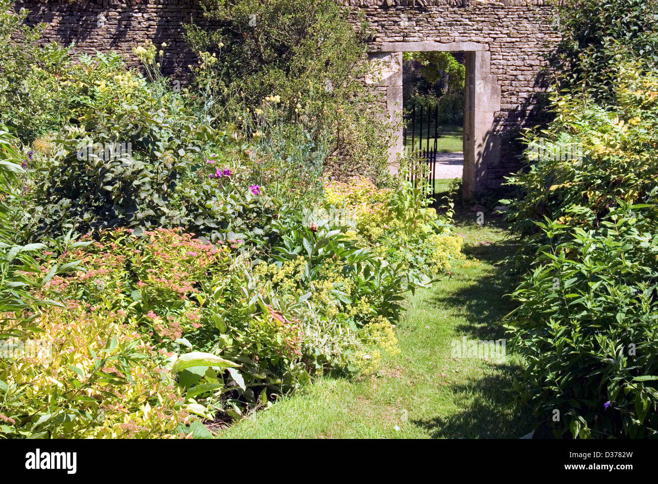 Dense border planting hi-res stock photography and images - Alamy