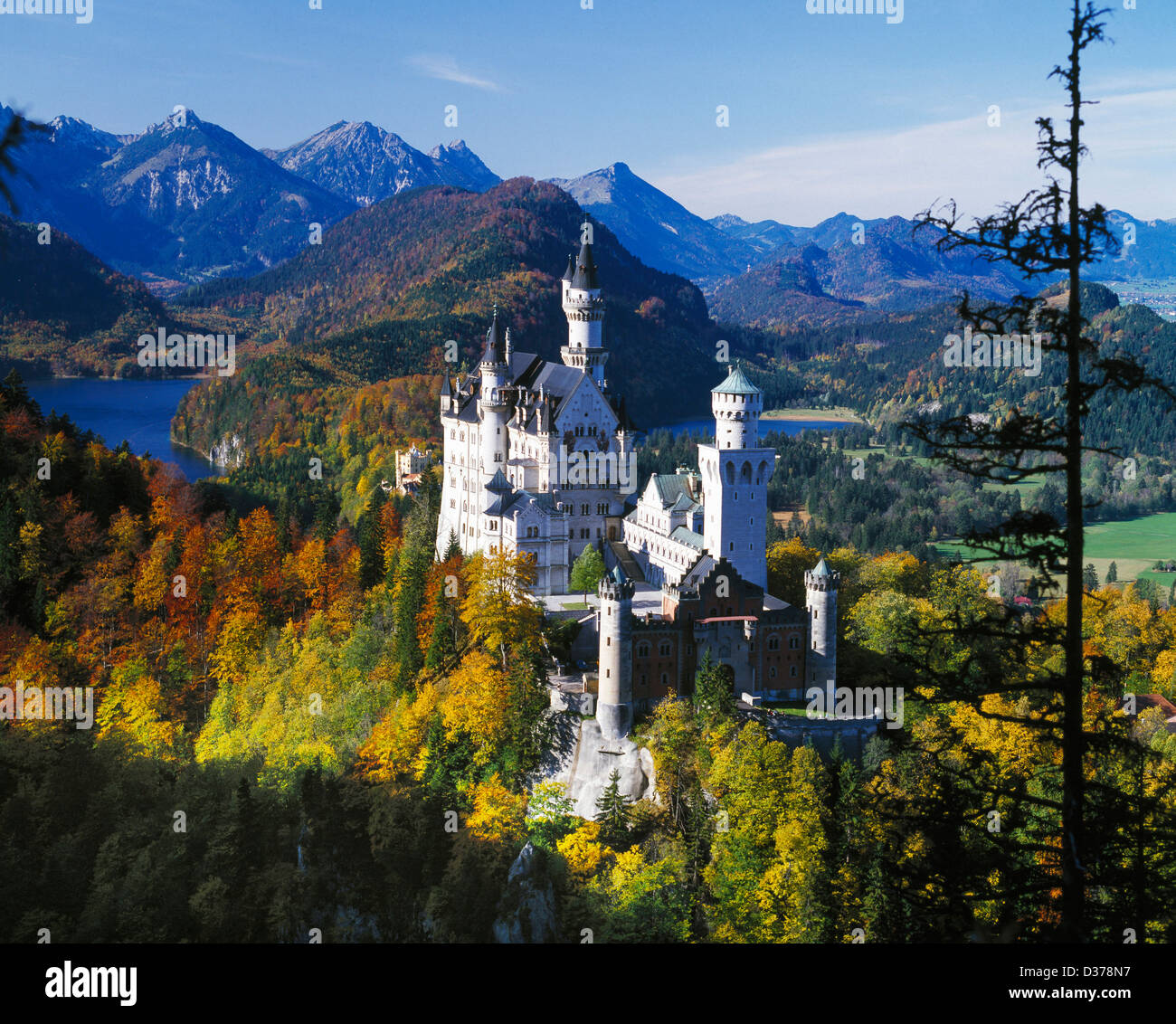 Neuschwanstein Castle, near Fussen, Bavaria Stock Photo - Alamy