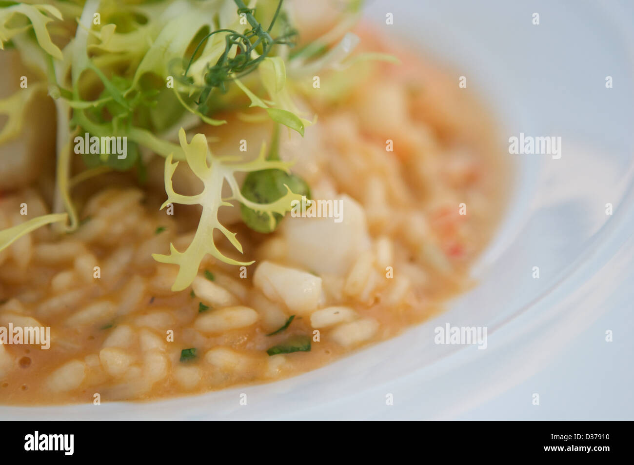Lobster risotto with a lettuce garnish Stock Photo - Alamy