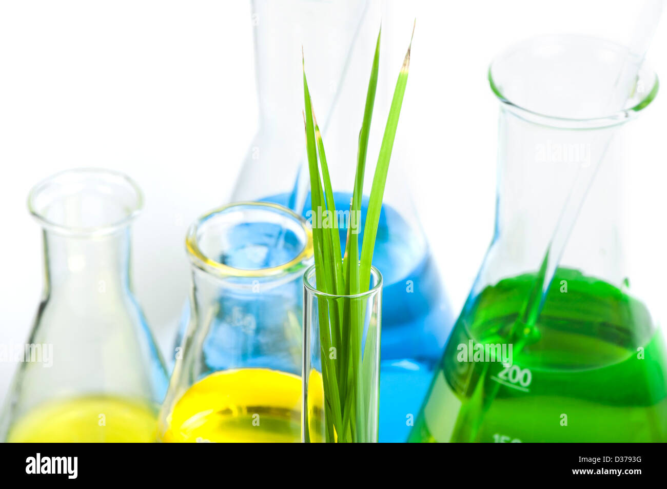 Green plants in laboratory equipment on white background Stock Photo ...