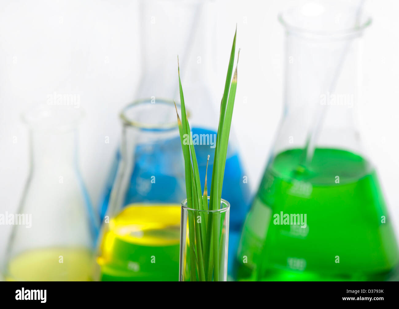 Green plants in laboratory equipment on white background Stock Photo ...