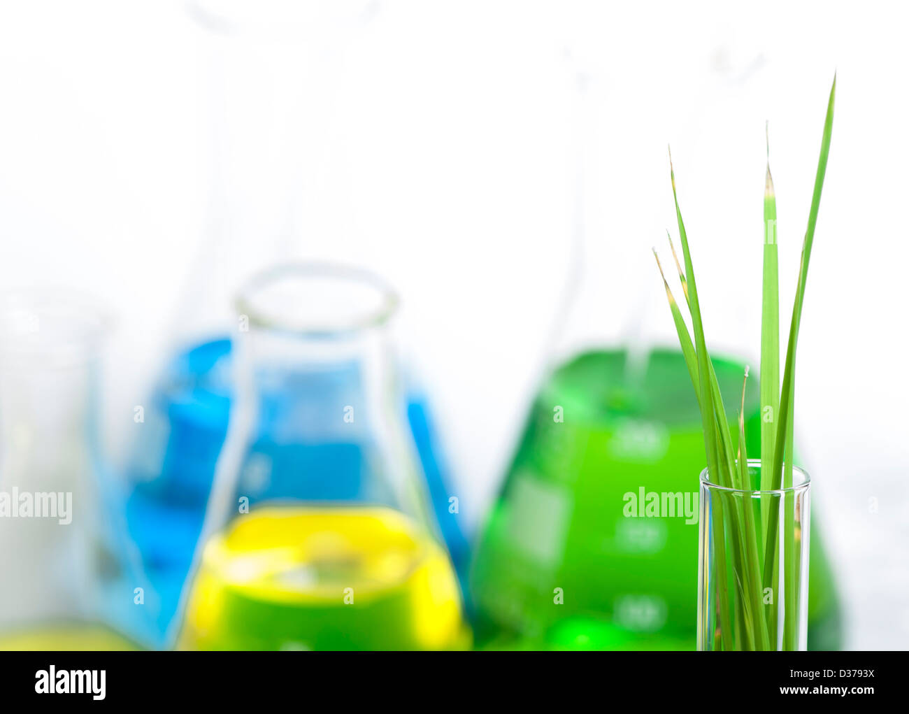 Green plants in laboratory equipment on white background Stock Photo ...