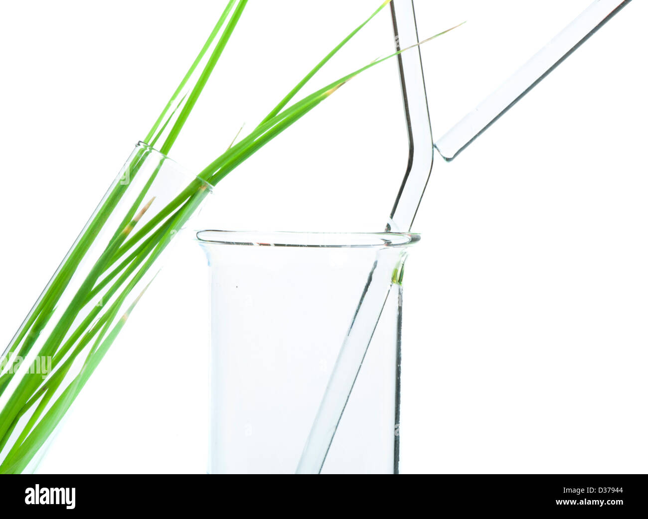 Green plants in laboratory equipment on white background Stock Photo ...