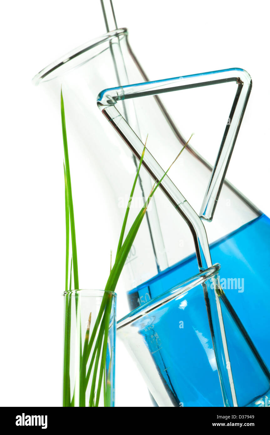 Green plants in laboratory equipment on white background Stock Photo ...