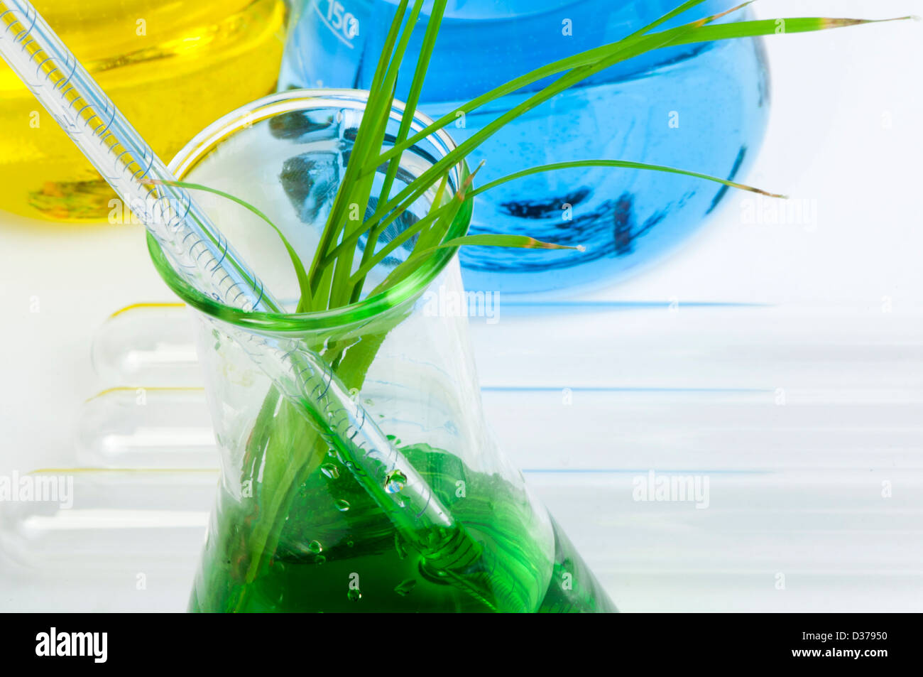 Green plants in laboratory equipment on white background Stock Photo ...
