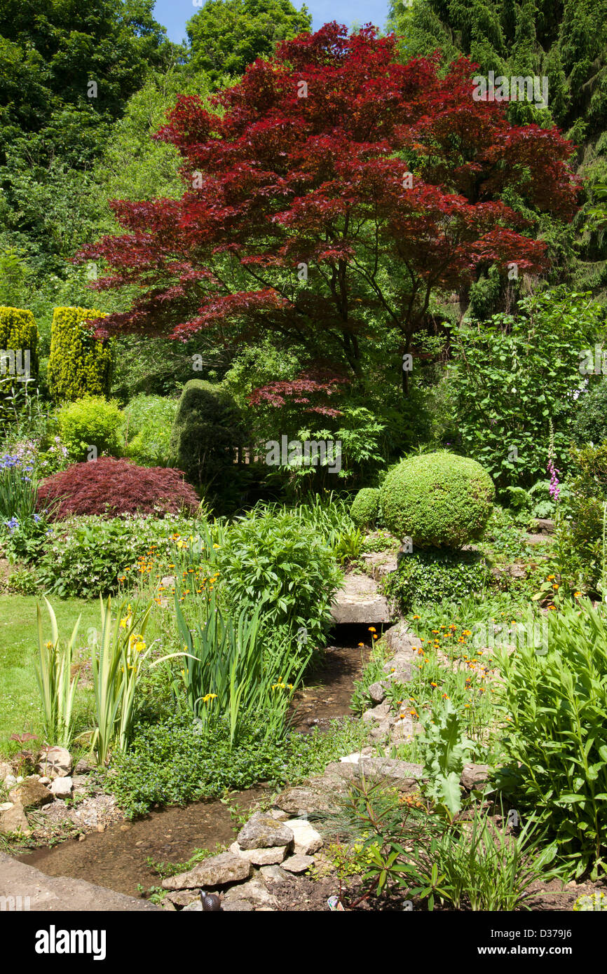 Stream water feature hi-res stock photography and images - Alamy