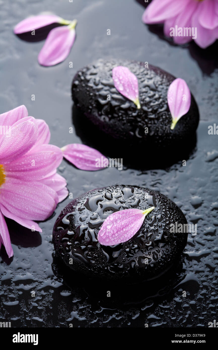 spa stones and flowers Stock Photo - Alamy