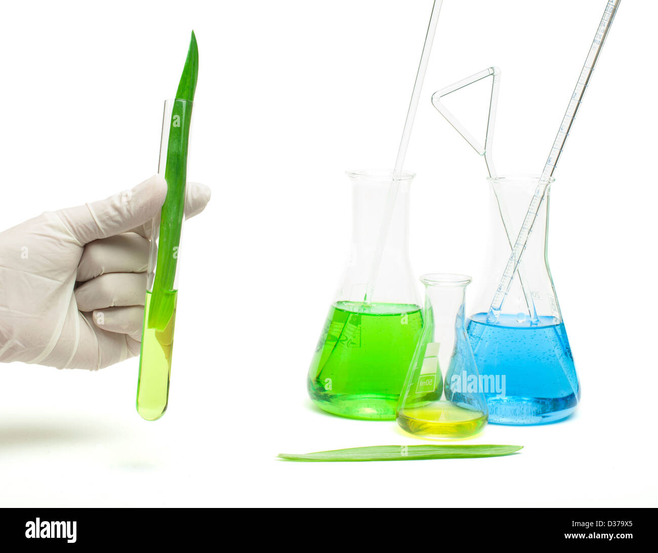 Green plants in laboratory equipment on white background Stock Photo ...