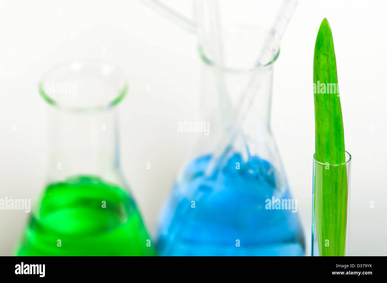 Green plants in laboratory equipment on white background Stock Photo ...