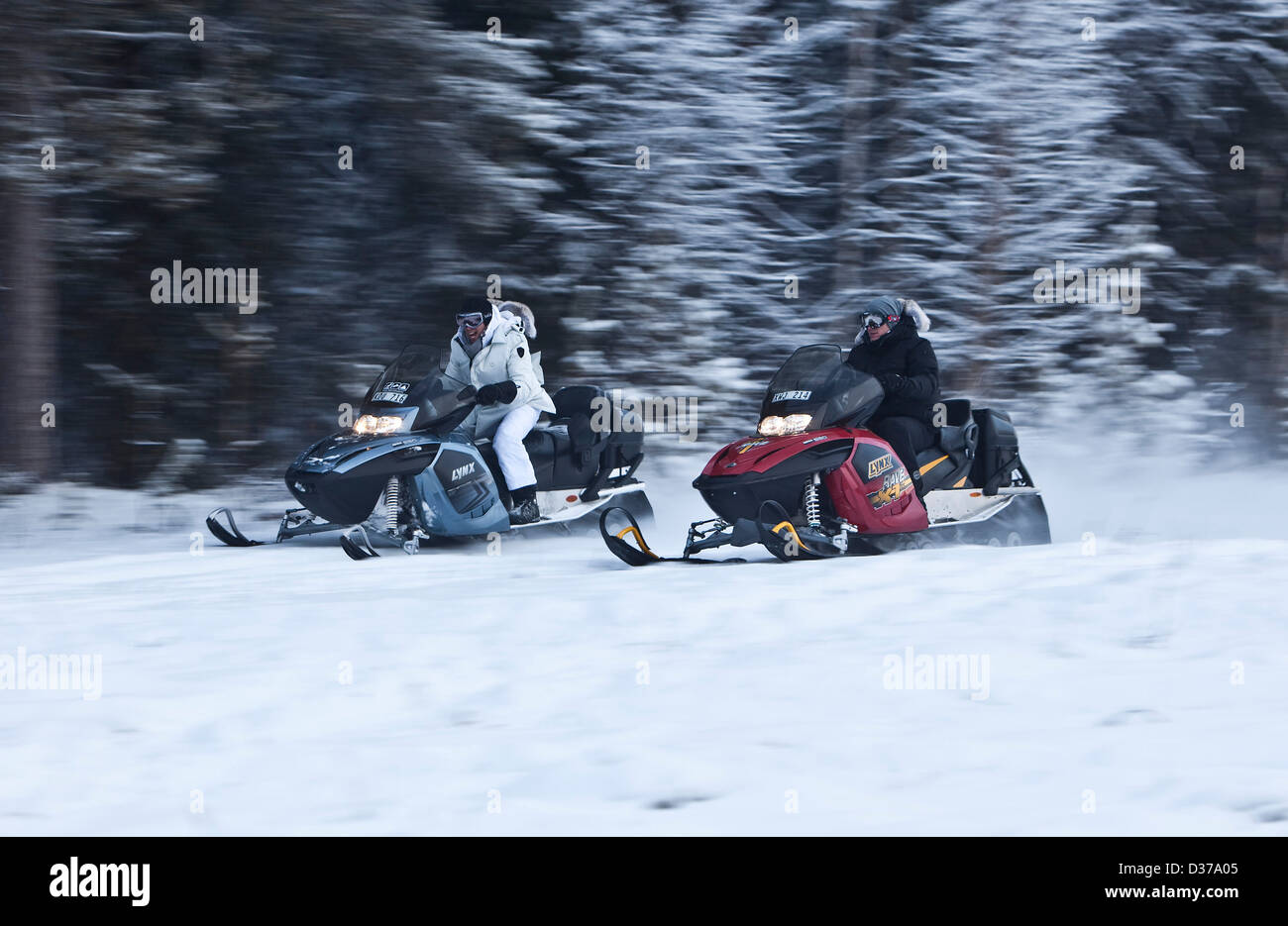 Snowmobile race on winter snow, Arctic Challenge, Lapland Stock Photo ...