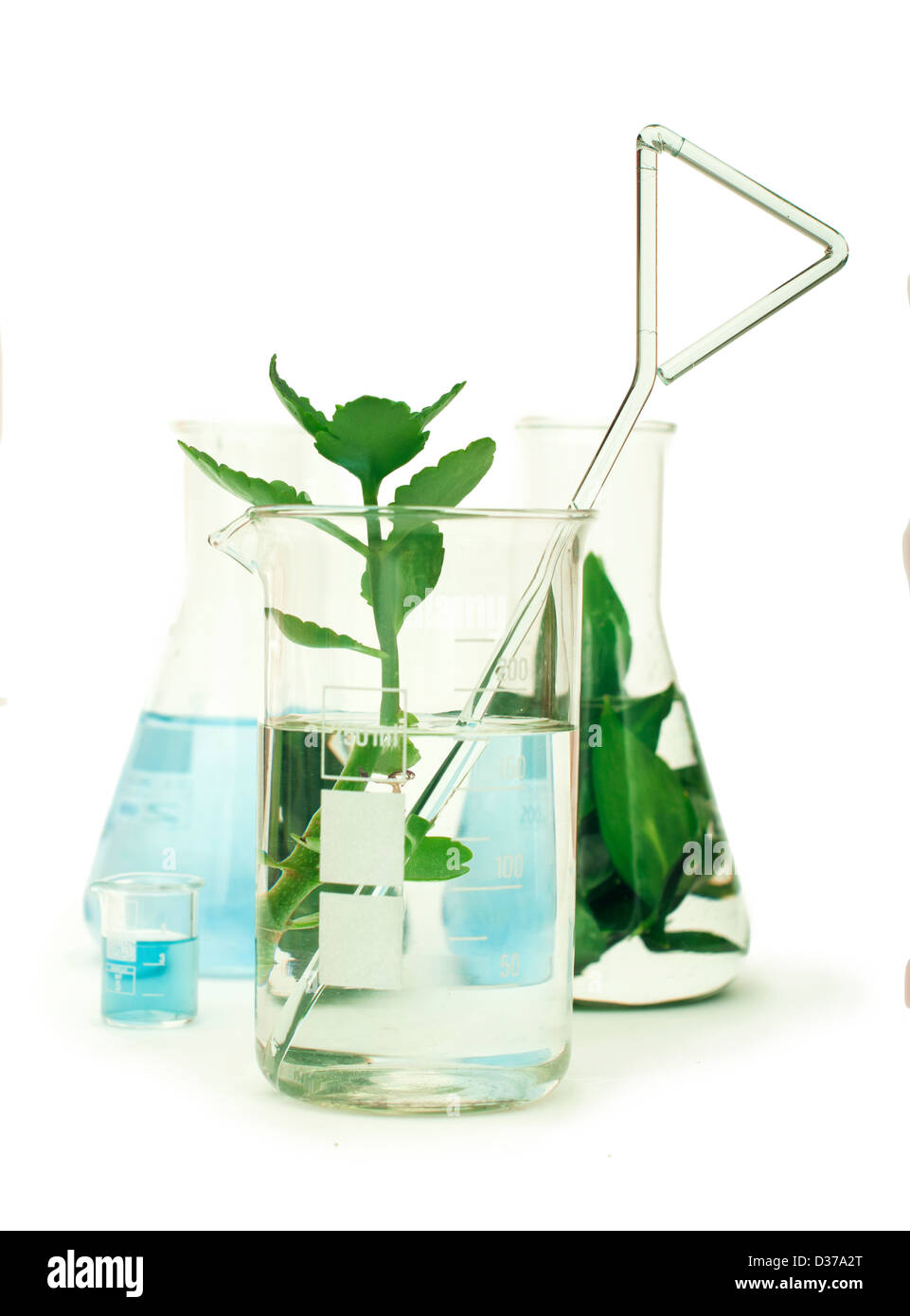 Lab equipment in science Cut Out Stock Images & Pictures - Alamy