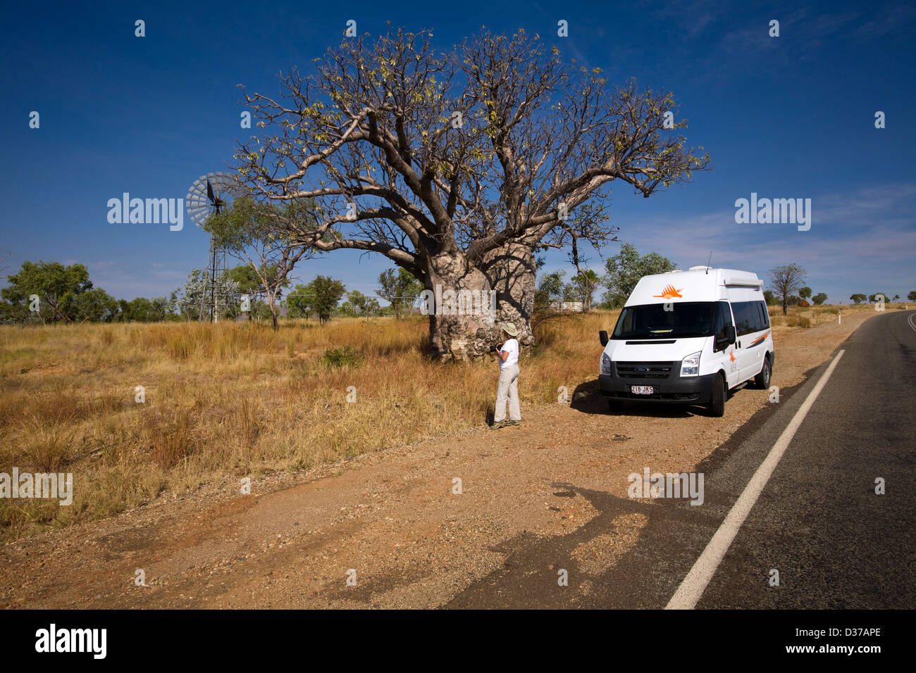 A boab tree and a windmill make for an iconic Outback scene, south of ...