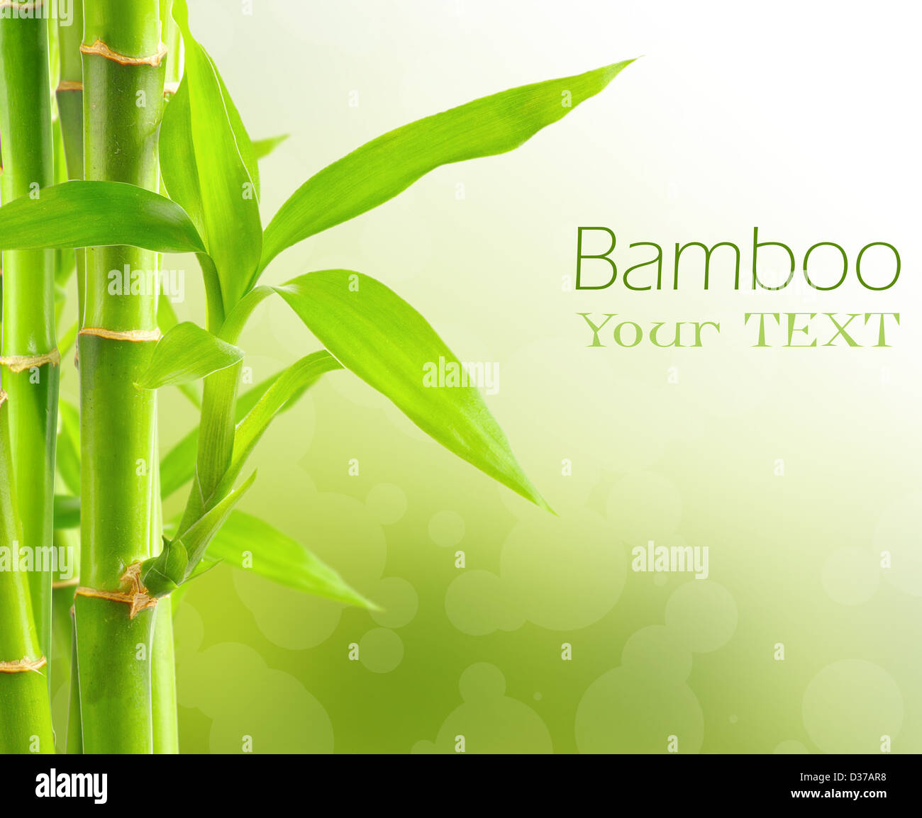 Bamboo background with copy space Stock Photo - Alamy