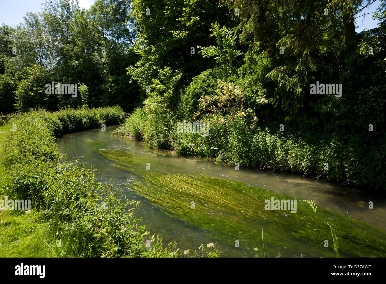 River churn cotswolds hi-res stock photography and images - Alamy