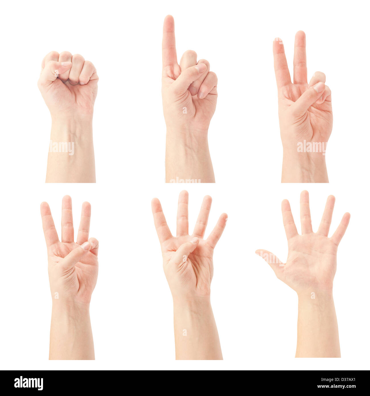 Counting man hands (0 to 5) isolated on white background Stock Photo ...