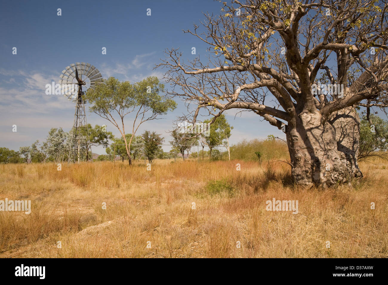 Boab tree windmill make for an iconic outback scene hi-res stock ...