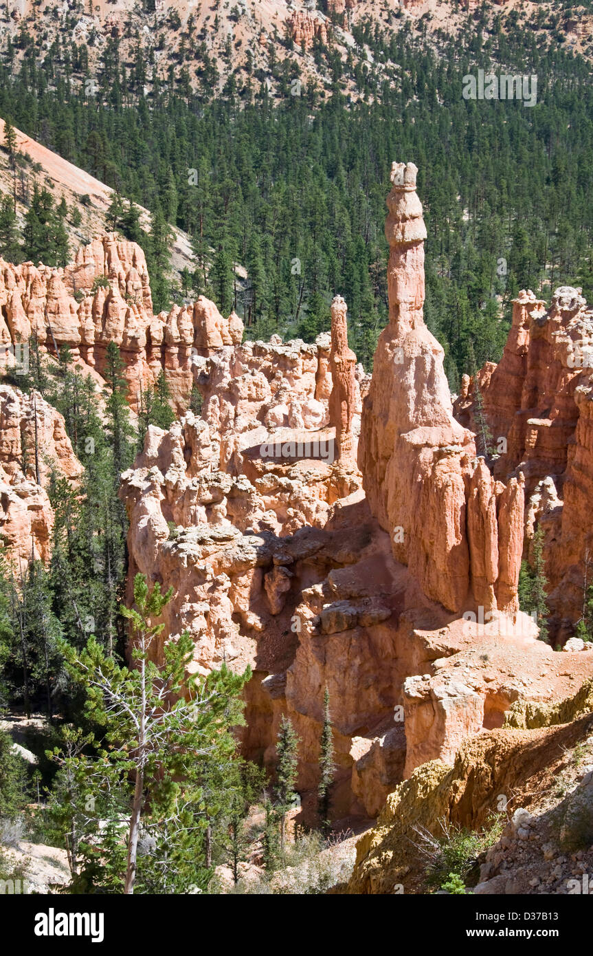 From bryce point hi-res stock photography and images - Alamy