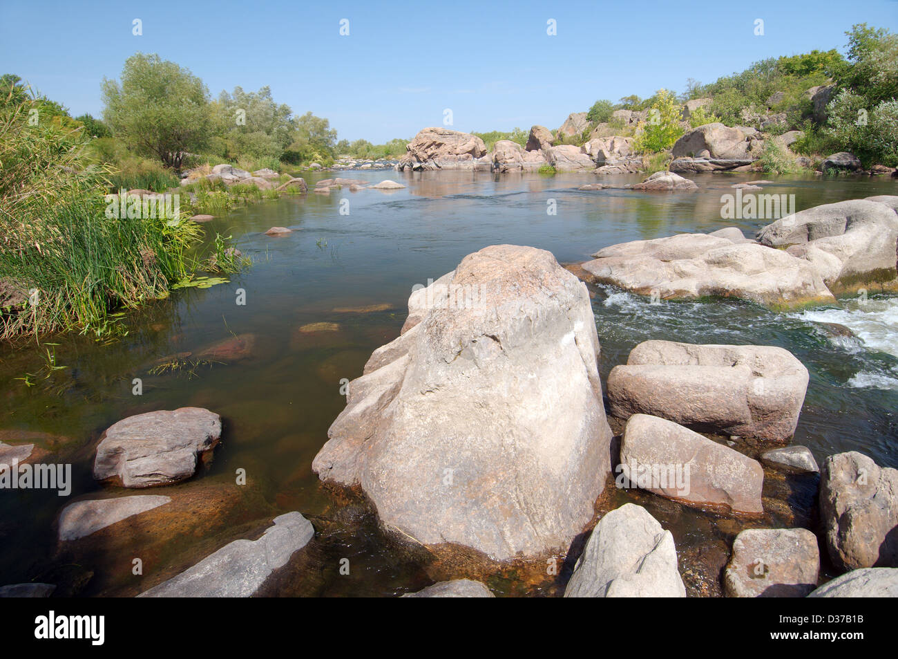 Southern bug hi-res stock photography and images - Alamy