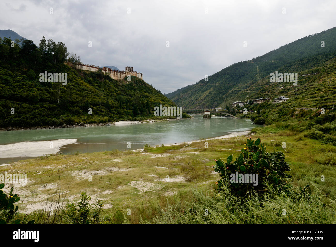 Ruins of Wangdue Phodrang Dzong,monastery,Bhutanese landscape,Cactus ...