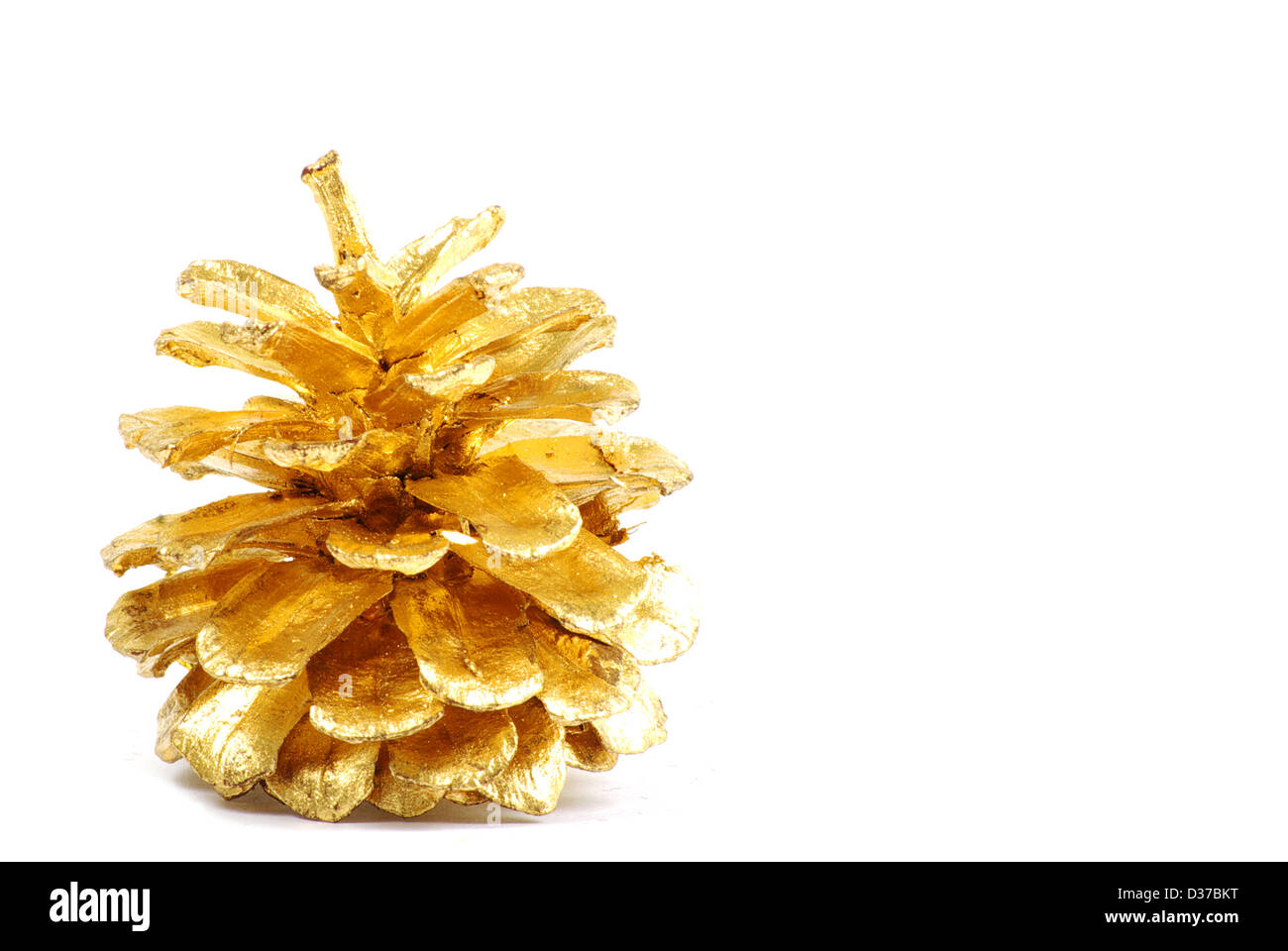 Golden pine cone isolated on white Stock Photo - Alamy