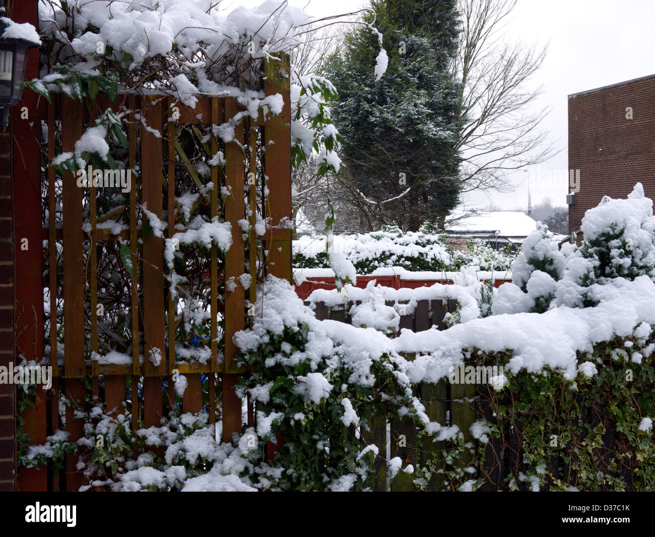 Snow covered fence and bushes Stock Photo - Alamy