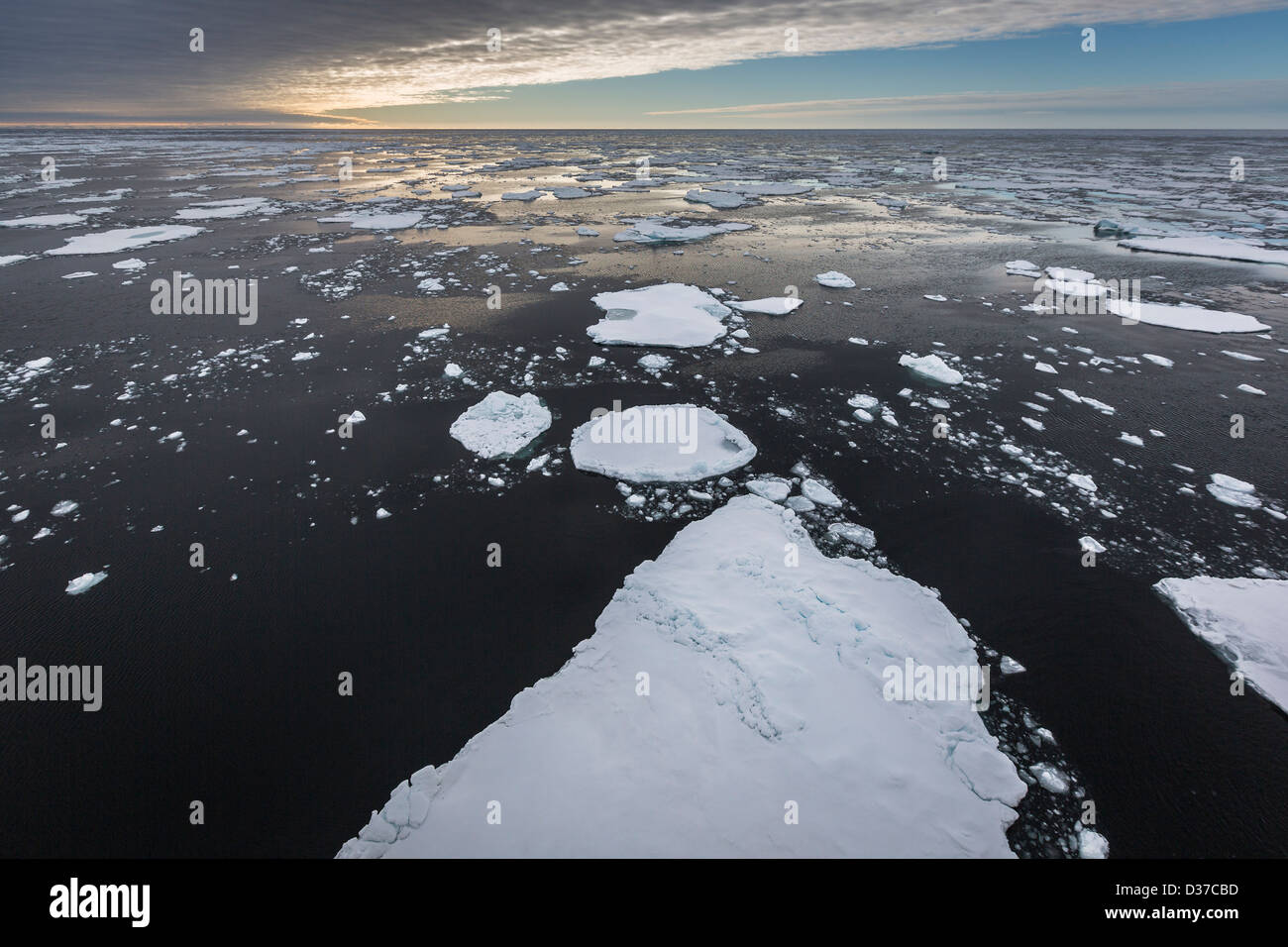 Pancake Ice-North Atlantic Ocean Packed ice-Sailing between Svalbard ...