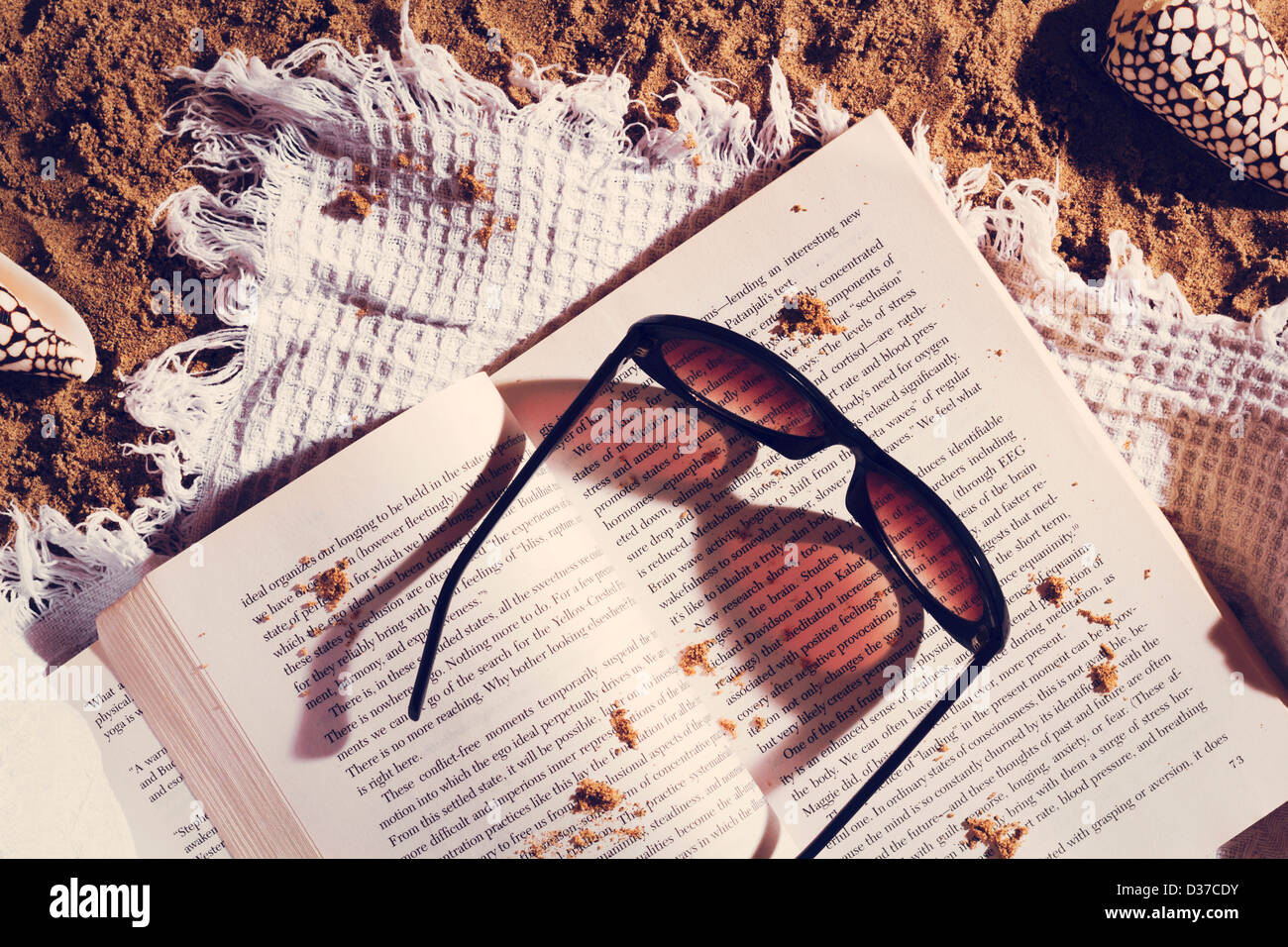 Book on beach blanket with sunglasses and sea shells Stock Photo - Alamy