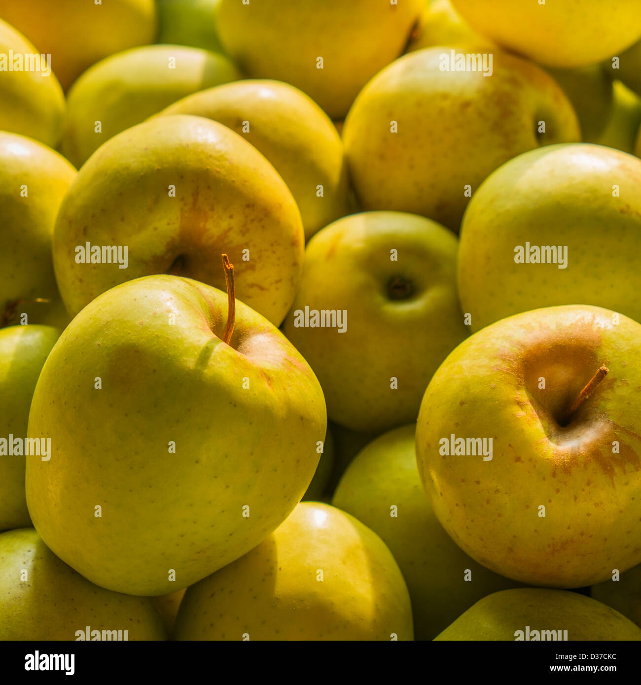 Pile of yellow apples hi-res stock photography and images - Alamy