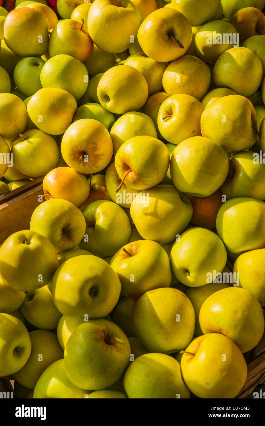 USA, New York City, Heap of apples Stock Photo - Alamy