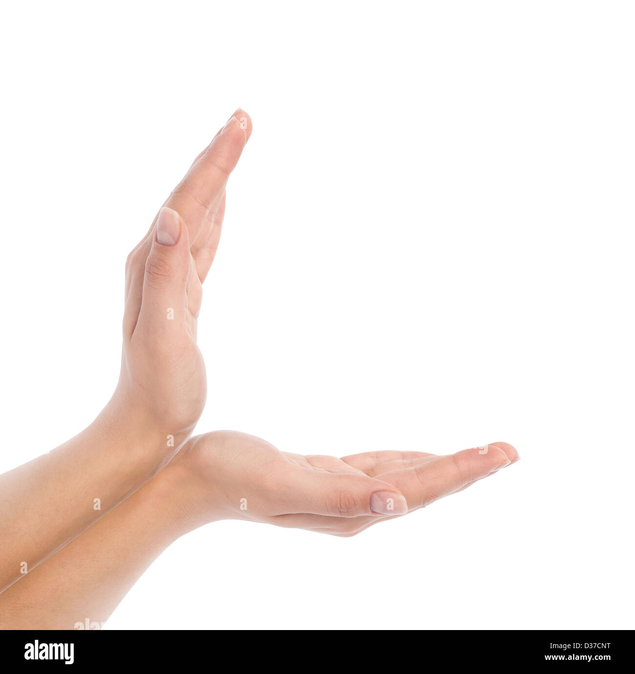 Isolated hands holding objects and gesturing arm hi-res stock ...