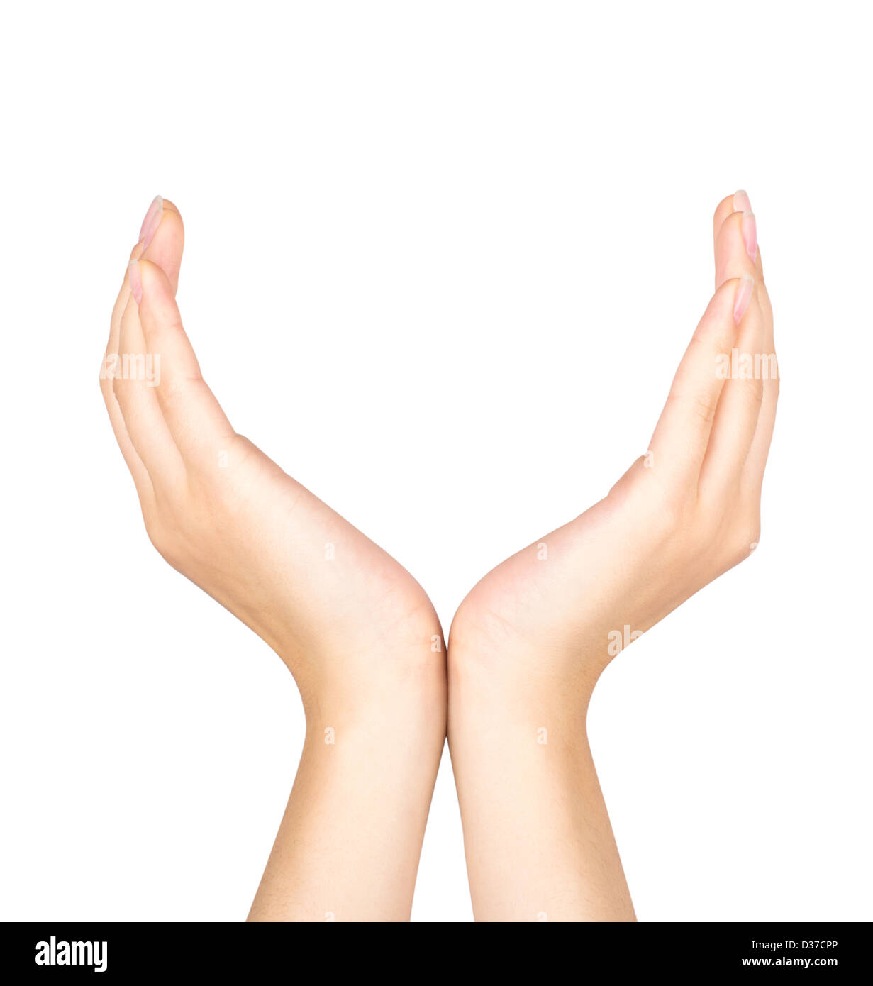 Hands holding something up Cut Out Stock Images & Pictures - Alamy