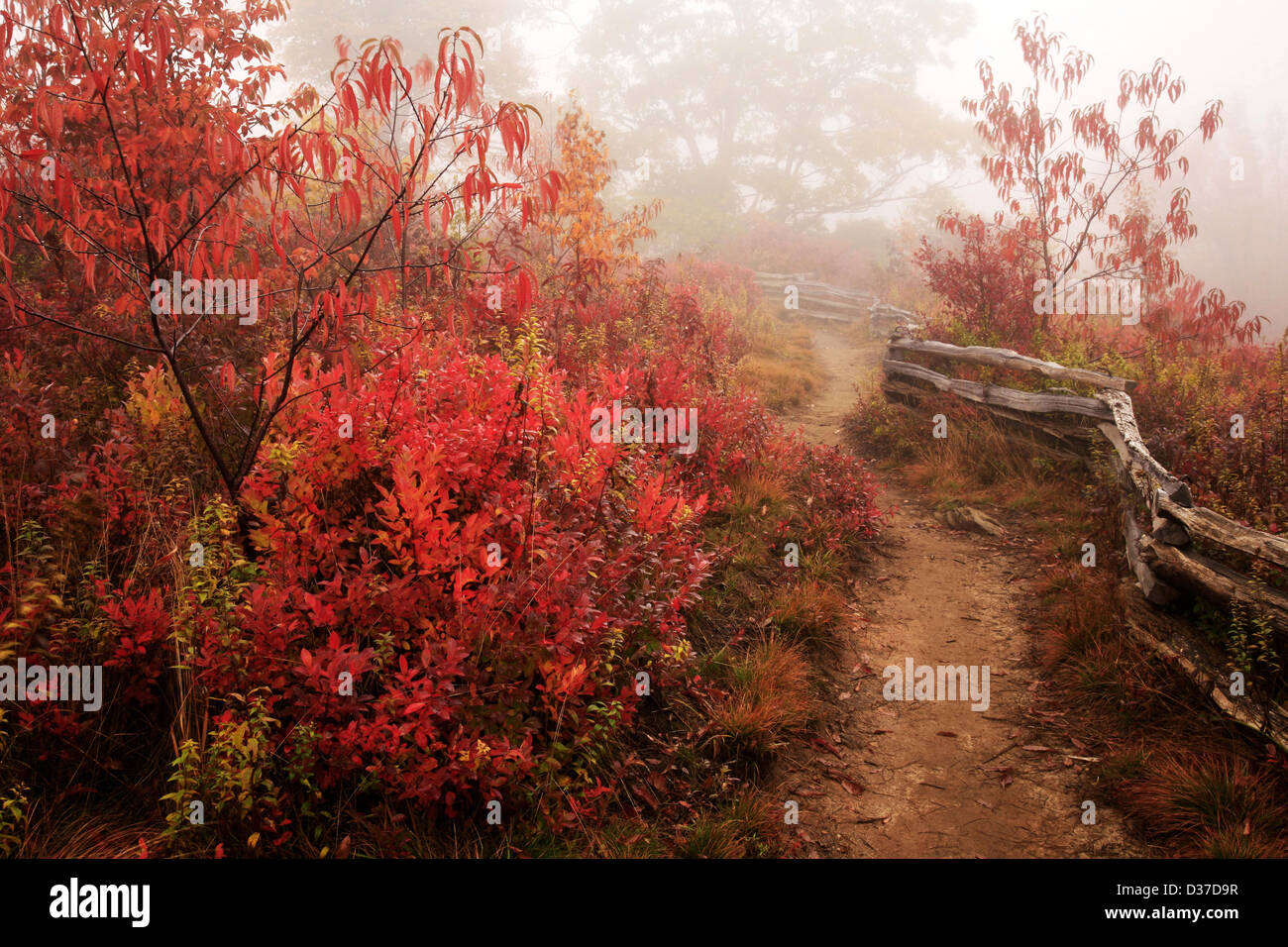 Autumn ridge trail hi-res stock photography and images - Alamy