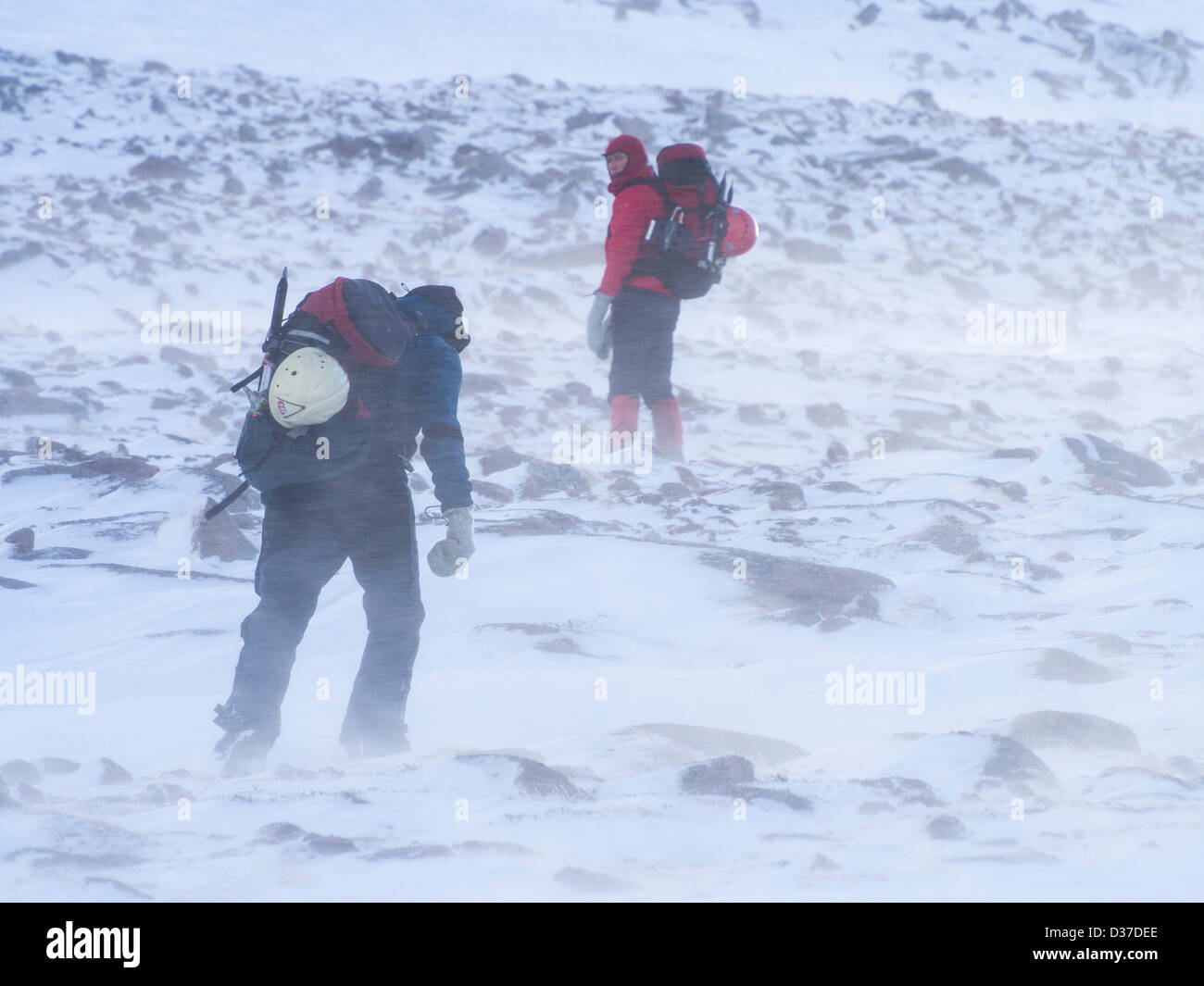 Strong wind uk winter hi-res stock photography and images - Alamy