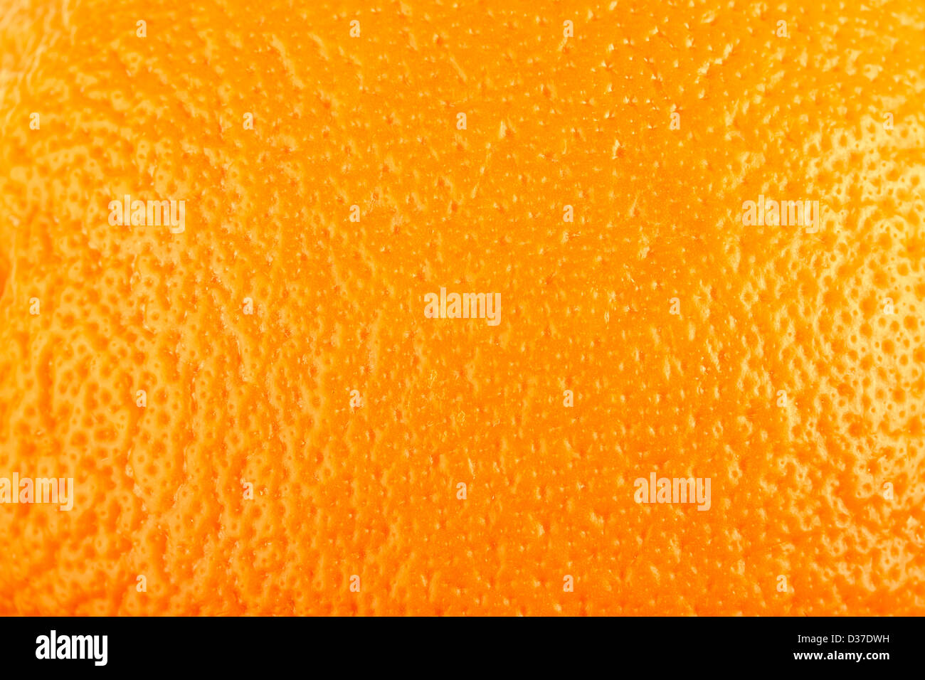 Grapefruit juice ripe orange hi-res stock photography and images - Alamy