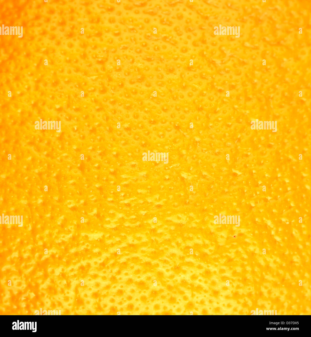 Grapefruit juice ripe orange hi-res stock photography and images - Alamy