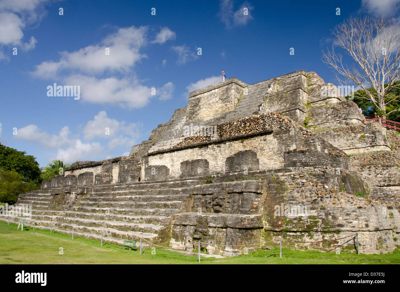 Belize, Altun Ha. Altun Ha, ruins of ancient Mayan ceremonial site from ...