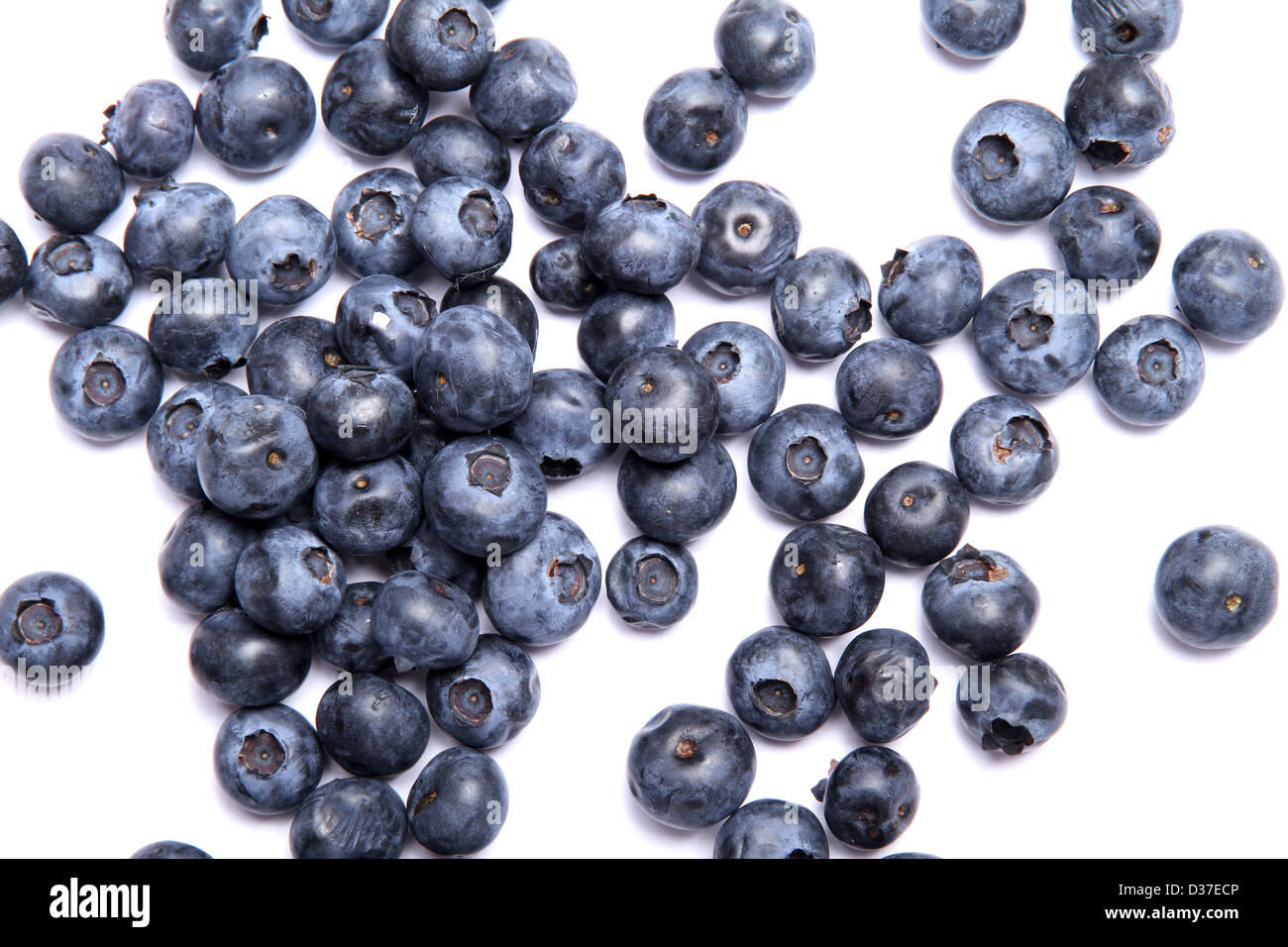 Some blueberries isolated on white Stock Photo - Alamy